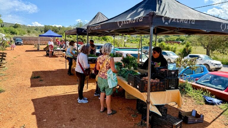 The best food markets and market halls in Ibiza - ibiza inside